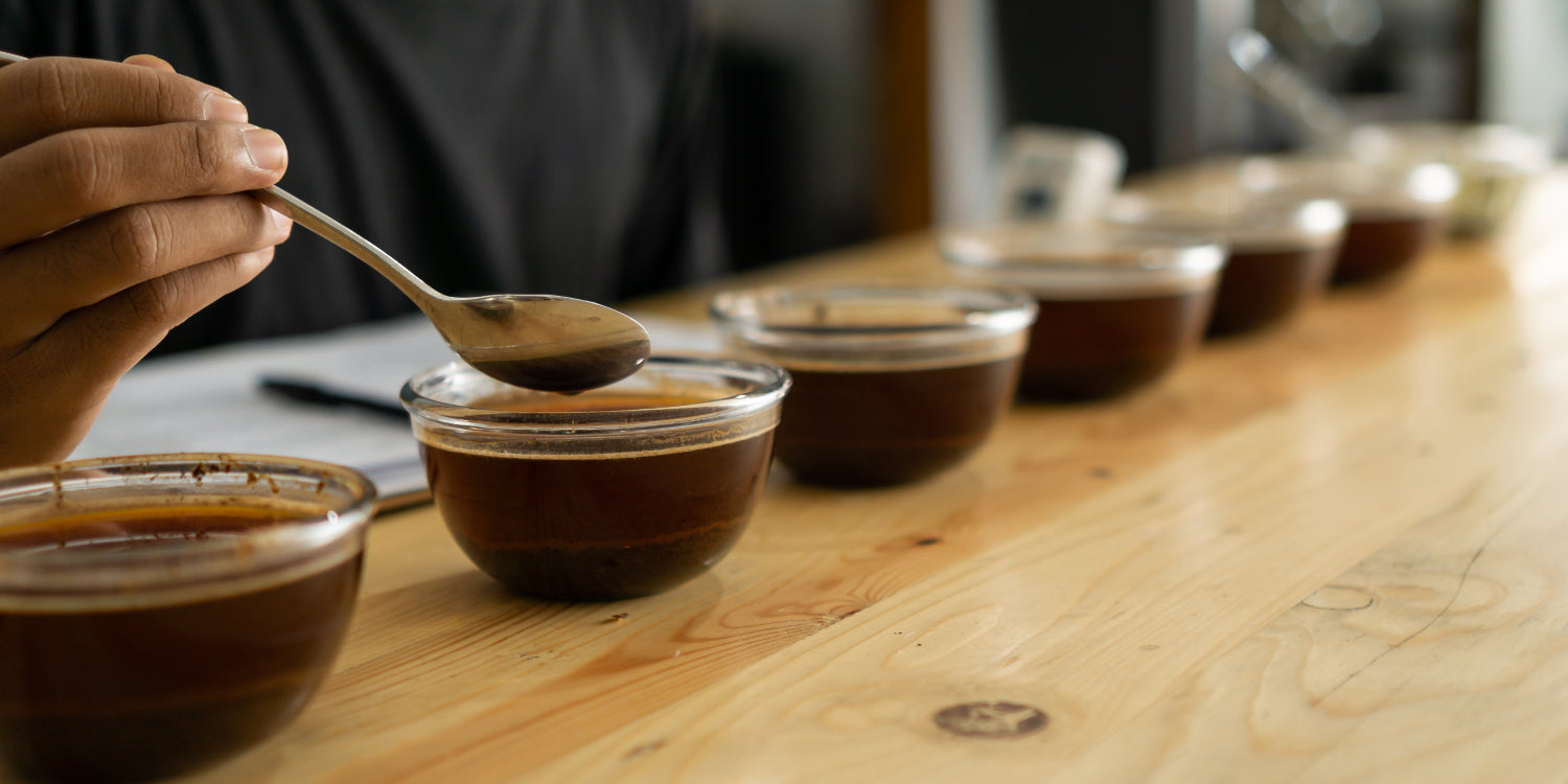 Understanding Coffee Acidity: Extraction, Grind, Roast